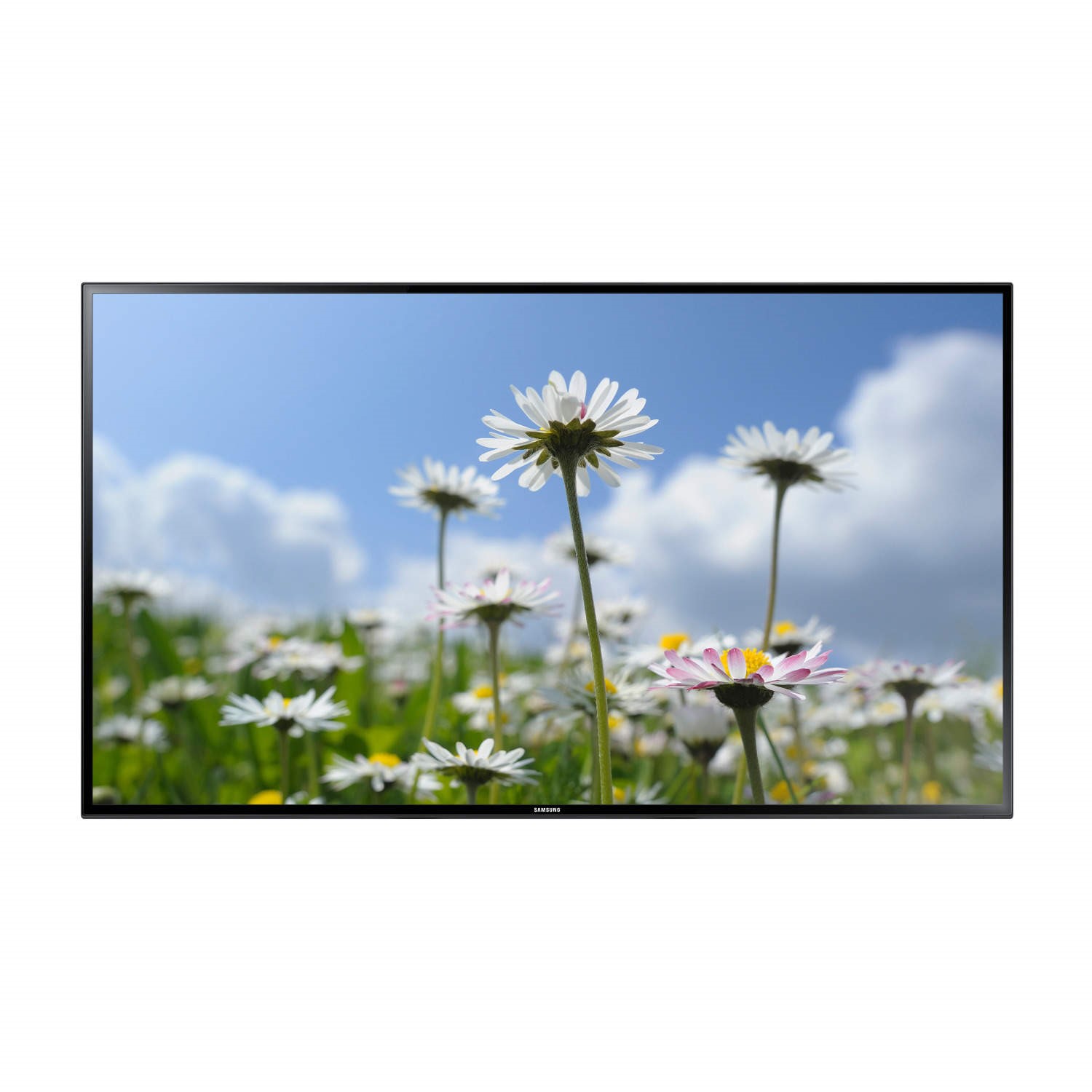Samsung ED65C 65 Inch Full HD LED Display on Servers Direct