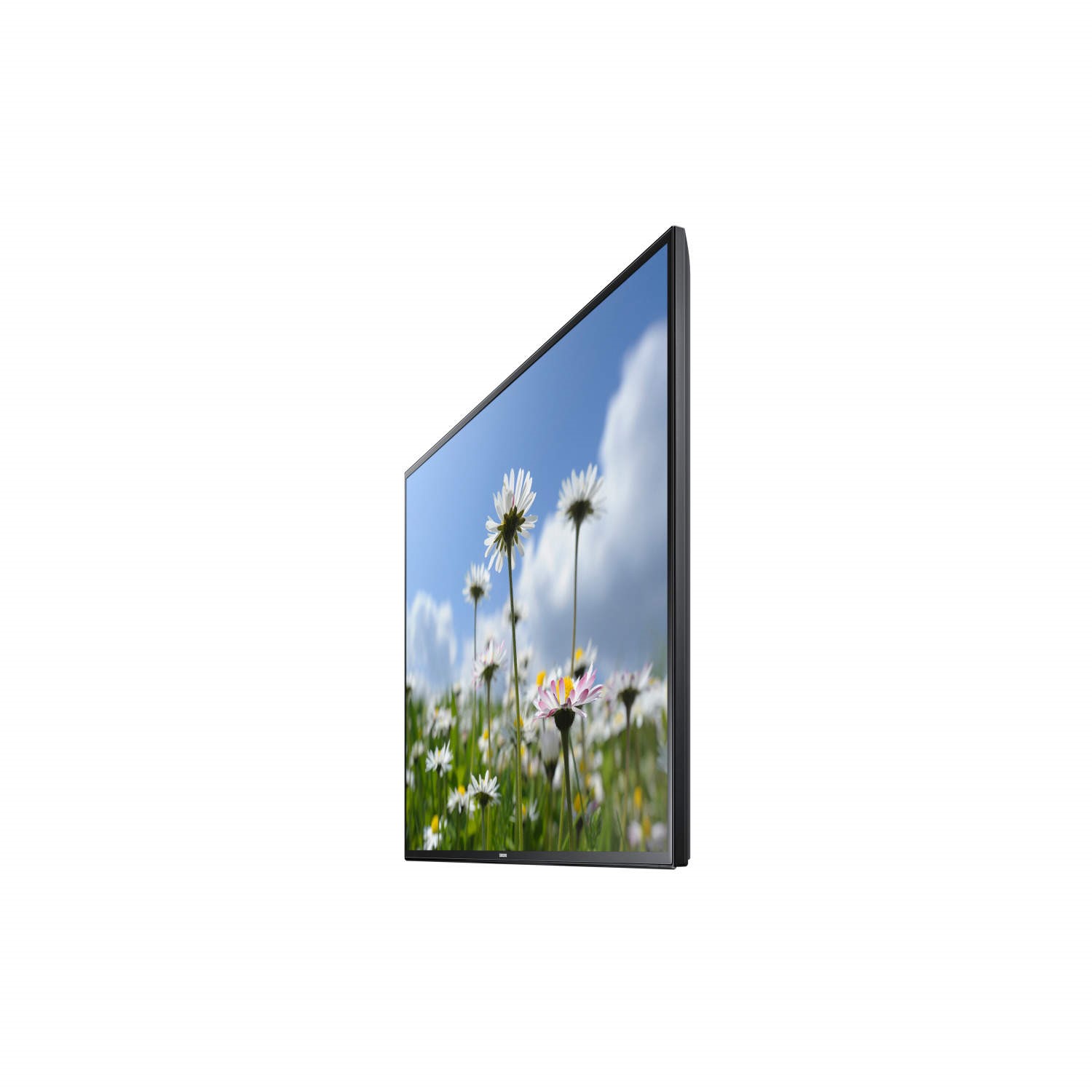 Samsung ED65C 65 Inch Full HD LED Display on Servers Direct